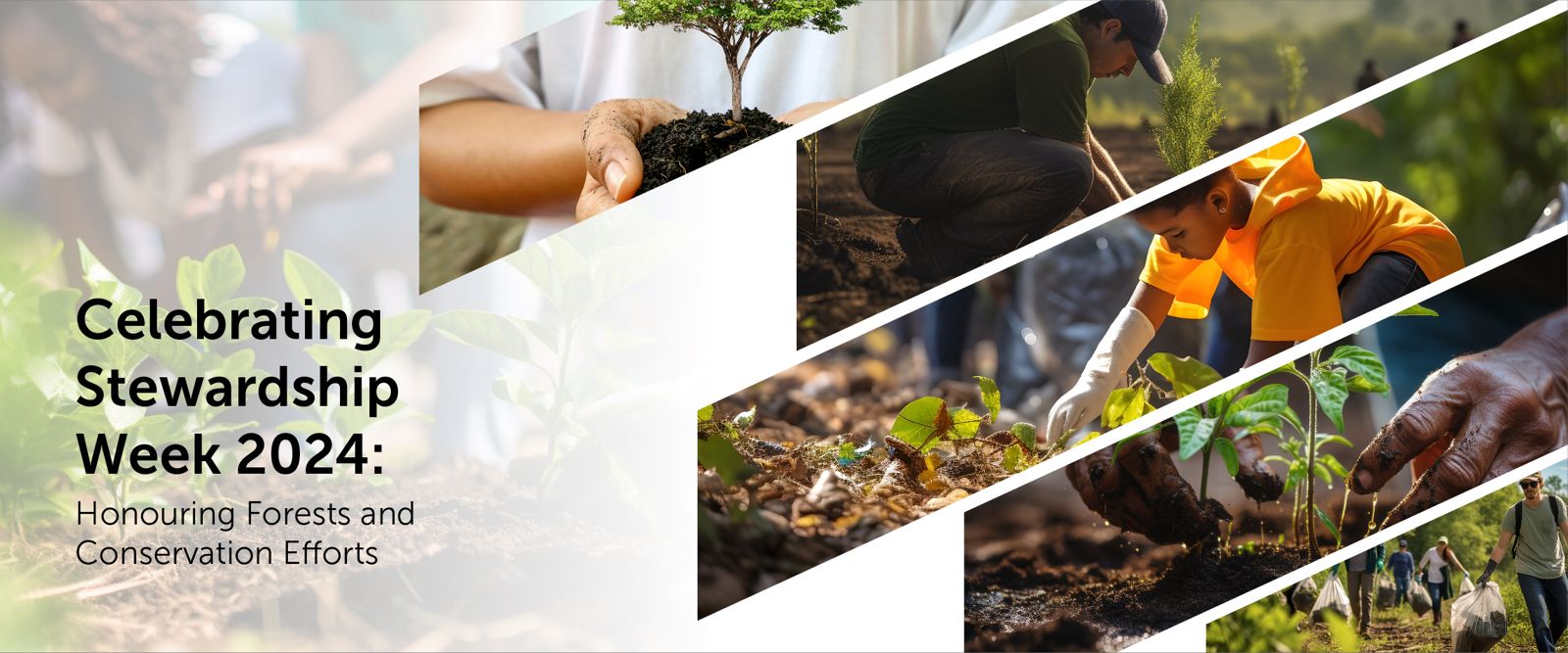 Celebrating Stewardship Week 2024