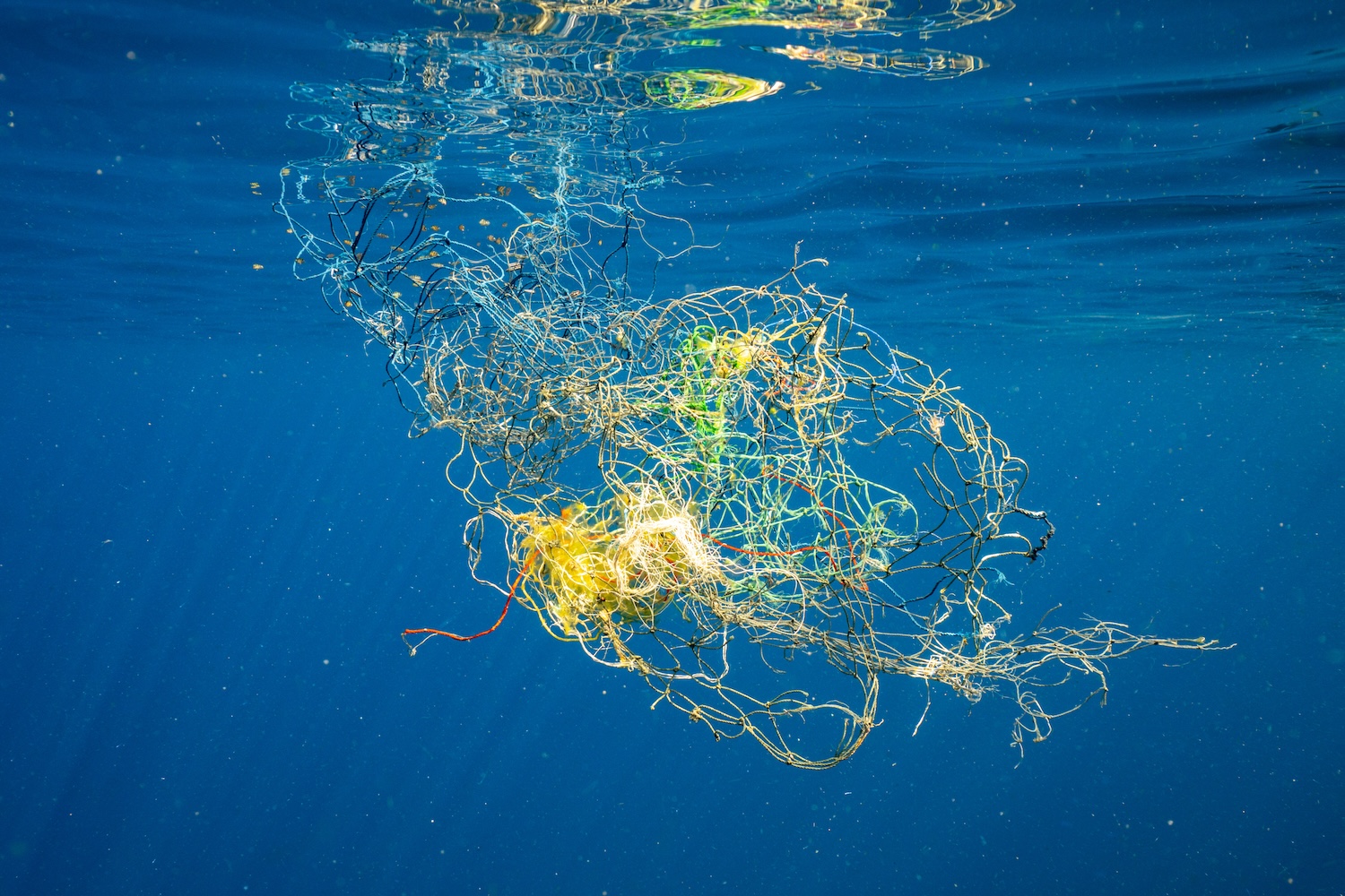 Vivreau and 4ocean Launch New “Double Your Impact” Initiative to Reduce ...
