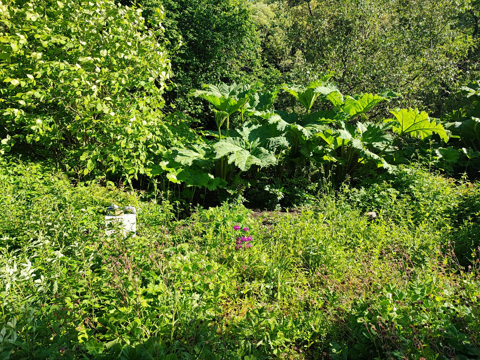 Planetary-scale innovation explored at BlueTech Forum - Climate Global News