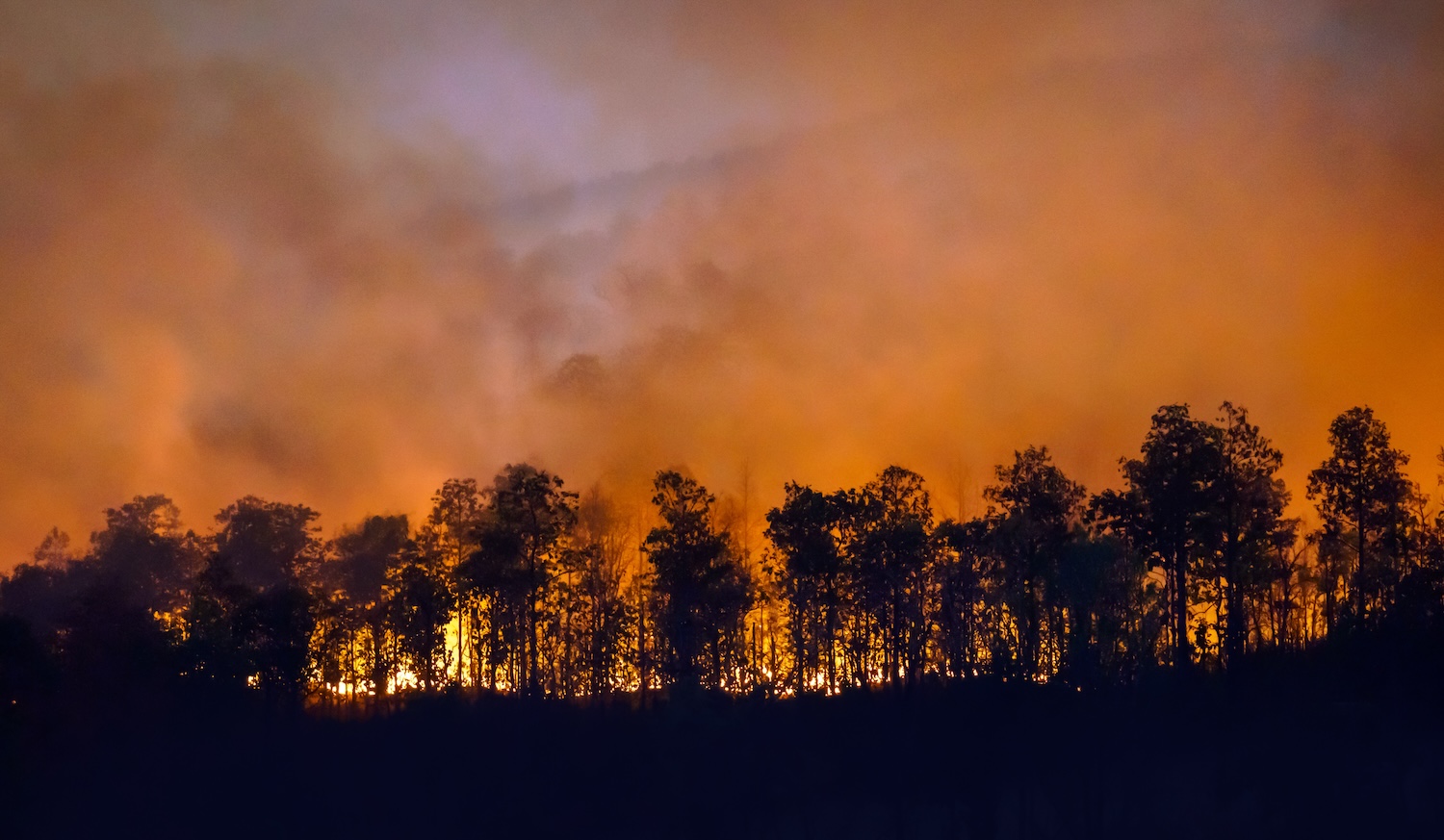 Wildfires to Hit California and Pacific Northwest Hard Heading into ...