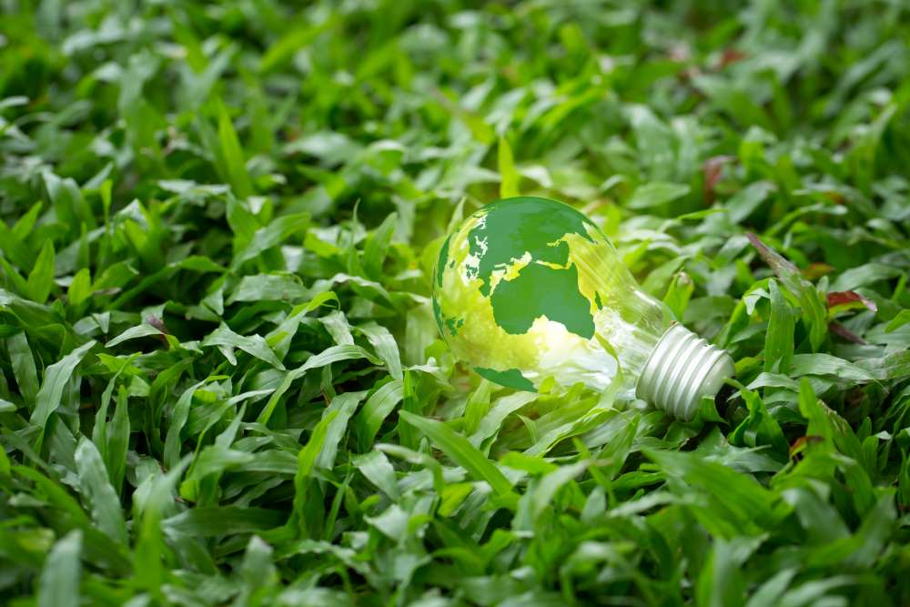MEWA and NEOM Announce Discovery of Eight Previously Unrecorded Native ...