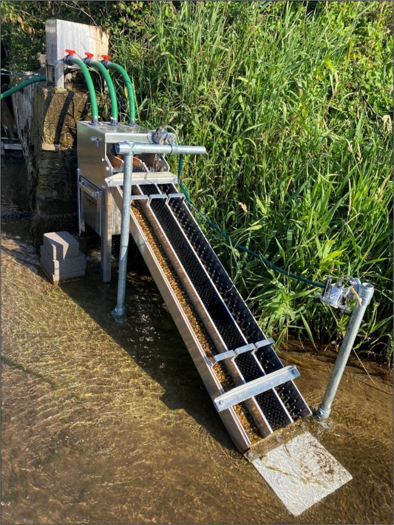 Innovative new eel pass designs offer hope for critically endangered ...