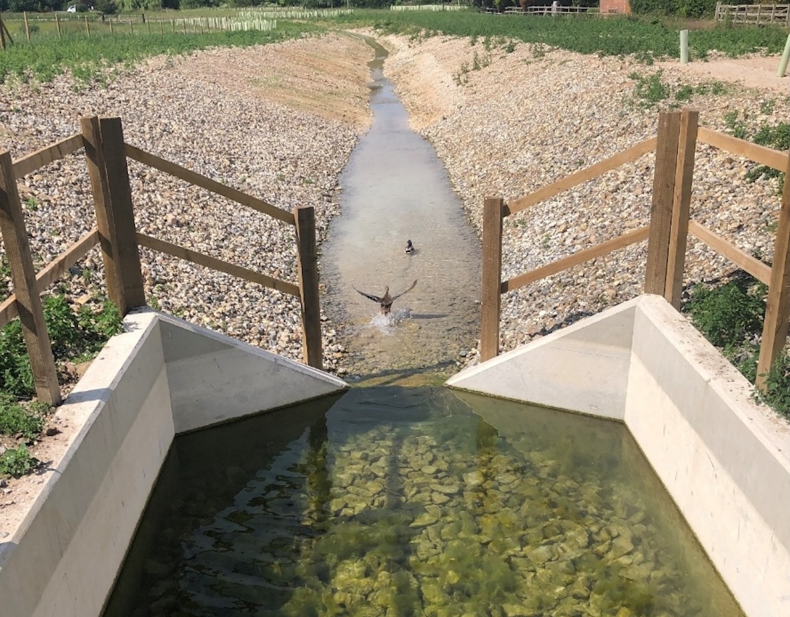 Flood alleviation scheme at Great Shefford protects homes and nature ...