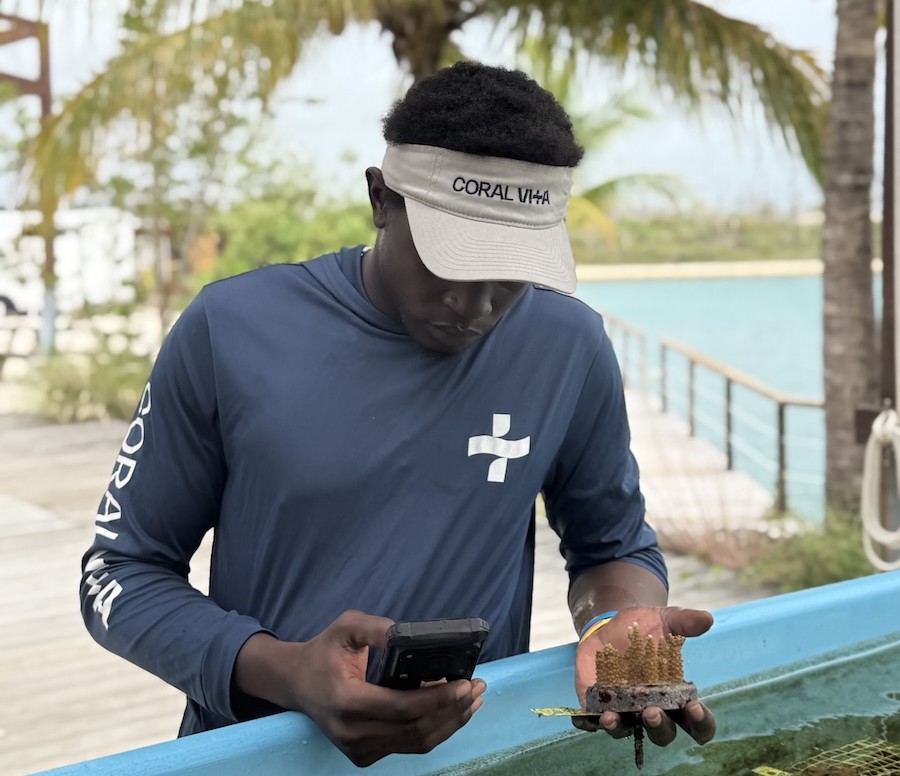 Coral Vita’s BrainCoral named one of TIME’s Best Inventions of 2025